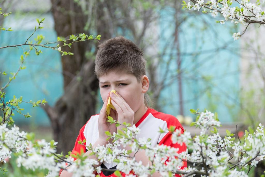 Allergie aux pollens et rhinite allergique | Rhinite et allergies ...